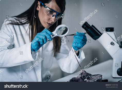 Forensic Science Lab Forensic Scientist Examining Stock Photo 710797798 Shutterstock