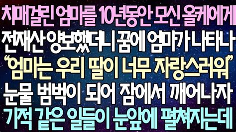 반전 사연 치매걸린 엄마를 10년동안 모신 올케에게 전재산 양보했더니 꿈에 엄마가 나타나 눈물 범벅이 되어 잠에서 깨어나자 기적 같은 일들이 눈앞에 펼쳐지는데 사이다사연