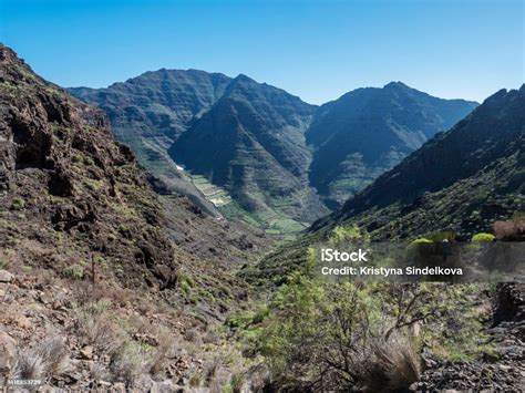선인장과 야자수가있는 Barranco De Guigui Grande 계곡의 건조한 아열대 풍경을 하이킹 트레일 Tasartico