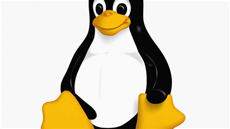 Why Most Cybersecurity Professionals Prefer Using Linux