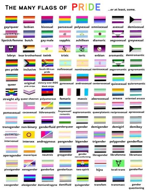 The Many Flags Of Pride Pdf