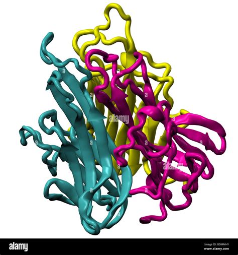 3 Dimensional Computer Generated Molecular Model Of Tumor Necrosis