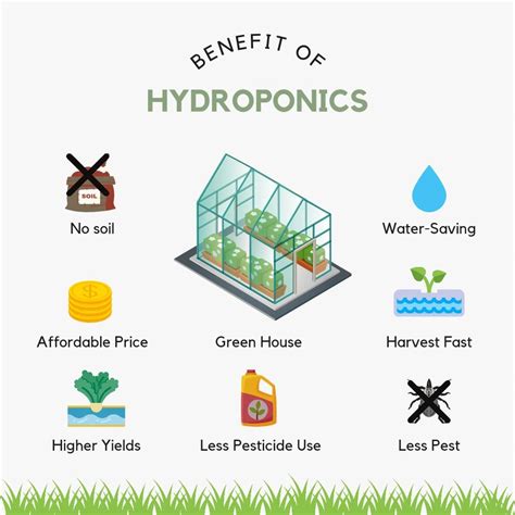 How Hydroponics Works And Benefits Nagesh Alladi Posted On The Topic Linkedin