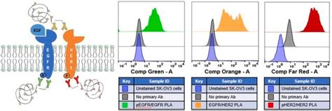 Duolink® Flowpla Multicolor Reagent Pack Duolink® Pla Kit For Flow Cytometry Multiplexing