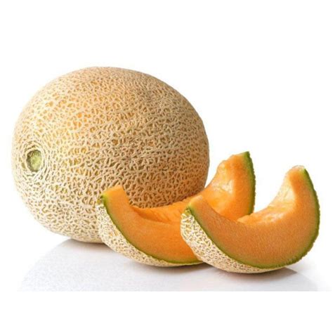Price: €4.95 - Yubari King Melon Seeds
