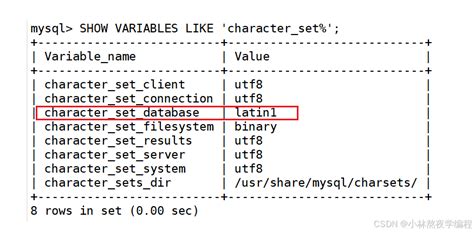 【mysql】第二弹 数据库基础全解析：从概念到实践的深度探索 Csdn博客