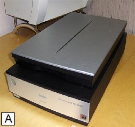 The Epson Perfection V Photo Scanner A Download Scientific Diagram