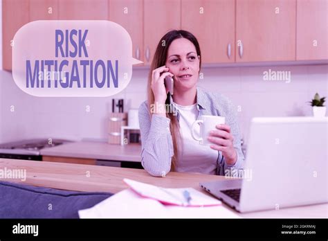 Conceptual Display Risk Mitigation Business Overview Strategy To