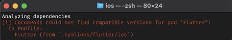 troubleshooting flutter configuration issues for ios browserstack