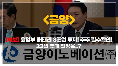 금양 주가전망 ㅣ윤정부 배터리 8조원 투자 주주 필수확인 Youtube