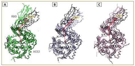 Characteristic Relative Angular Twist Of The A Wtrbd Ace2 B Download Scientific Diagram
