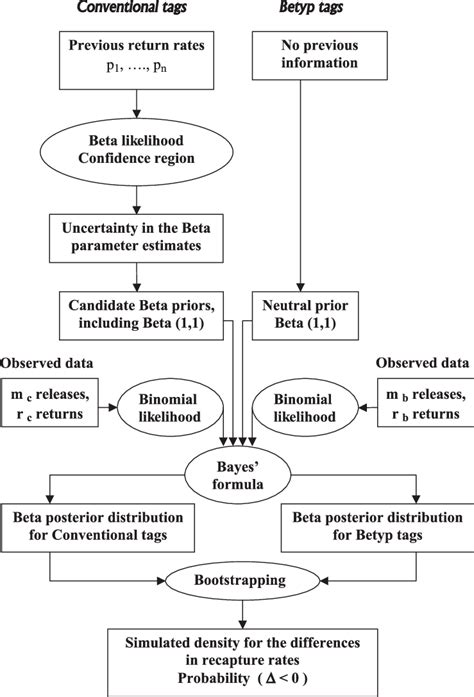 Representation Of The Methodology Combining Bayesian And Download Scientific Diagram