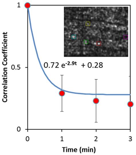 Measurement Of Axonal Activity Correlation Coefficient Vs Time For