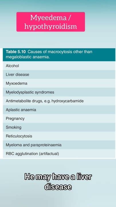 Macrocytosis Rbc Morphology And Causes Of Macrocytosis Laboratory Mlt