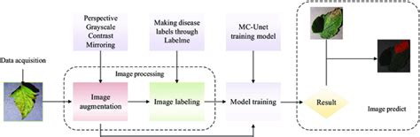 An Effective Image Based Tomato Leaf Disease Segmentation Method Using Mc Unet Pmc
