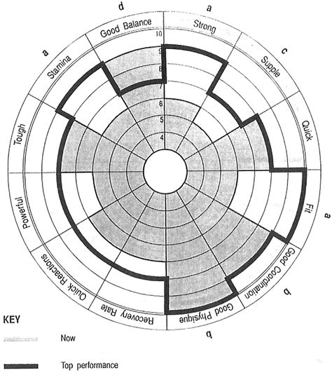 Performance Profiling A Systematic Approach To The Enhancement Of