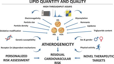 Lipids And Their Modifications Contribute Importantly To The Download Scientific Diagram