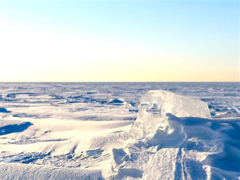 What Are The Worlds Largest Deserts — Daily Passport