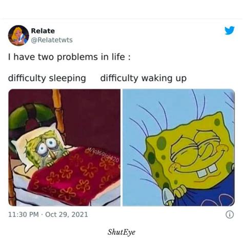 30 Funny Waking Up Memes That Brighten Your Day Shuteye