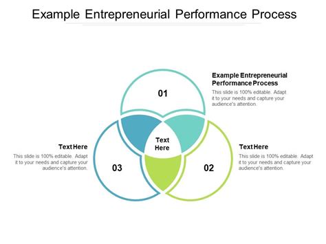 Example Entrepreneurial Performance Process Ppt Powerpoint Presentation Gallery Format Ideas Cpb