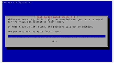 install cms wordpress di linux debian 6 server networking and computers
