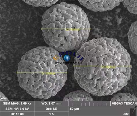 Porous Beta Tcp Eprui Biotech