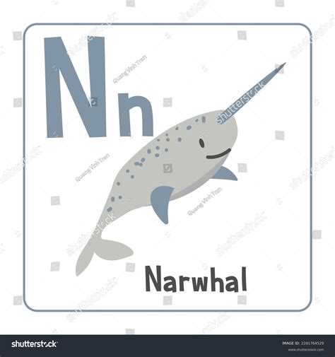 Narwhal Clipart Narwhal Vector Illustration Cartoon Stock Vector