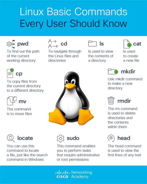 Nasser Alkhunfur On Linkedin Linux Basic Commands 👨🏽‍💻🐧 Every User