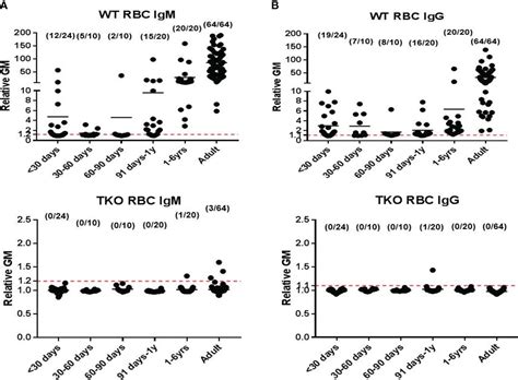 Frontiers | A brief review of the current status of pig islet xenotransplantation