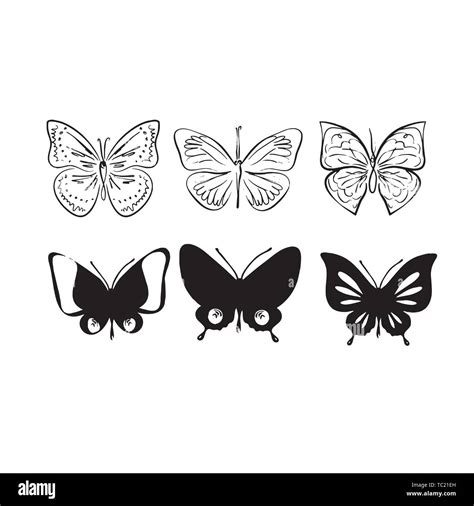 Insect Butterfly Outline Vector Nature Coloring Book Insect Butterfly Outline Vector Nature
