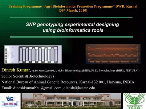 Snp Genotyping Methodlogy Dwr 30 03 10 Ppt