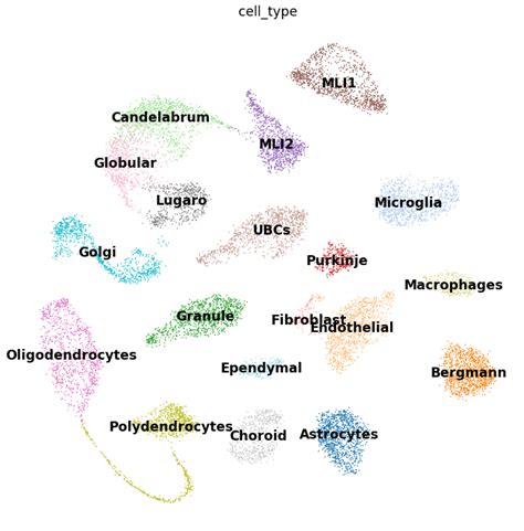 Mouse Cerebellum Slideseq V SpatialScope Tutorial Documentation
