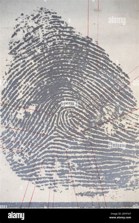 Fingerprint Video Forensics At Robert Keck Blog