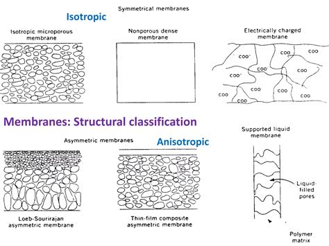 Membrane Separations Pptx
