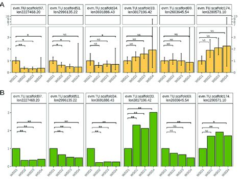 gene expression pattern verification a relative expression