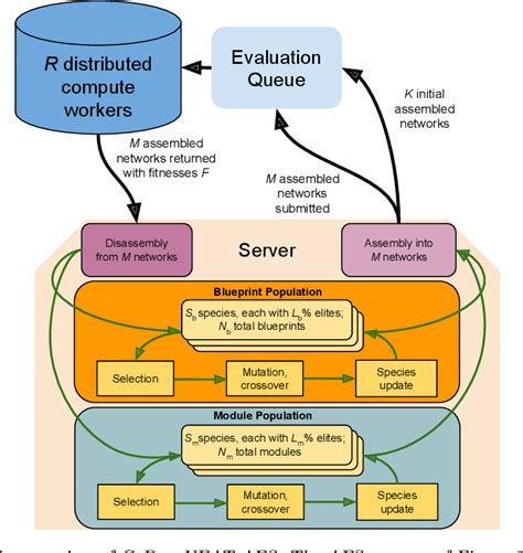 Asynchronous Evolution Of Deep Neural Network Architectures Paper And Code Catalyzex