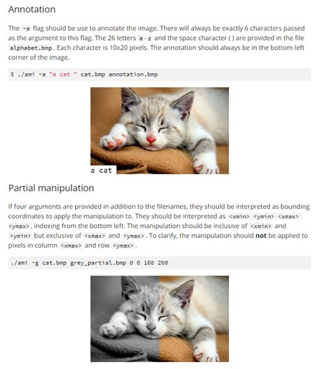 can you do this in c language write a program that