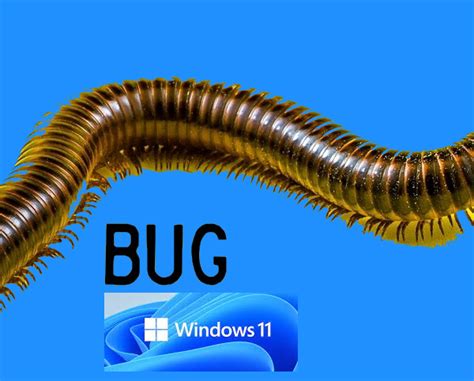 Fixed The Bug Of Slow Transfer Via Smb In Windows 11