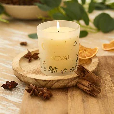 St Eval Orange And Cinnamon Candle Christmas T Ideas