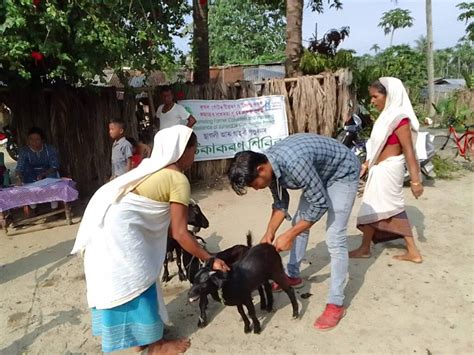 Livestock Vaccination And Deworming Campaign Rgvn