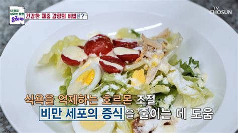 다이어트 유산균 Bnr17 】 건강한 체중 감량의 비법 Tv Chosun 20230101 방송 내 몸을 살리는 발견 유레카 97회 Tv조선 Youtube