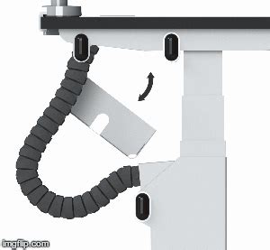 Animated GIF Imgflip