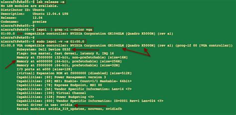 Identify Nvidia Graphics Card By Serial Number Anyentrancement