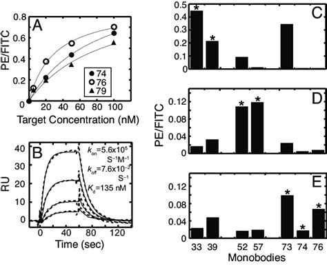 Binding Affinity And Specificity Of Ys Monobodies A Titration