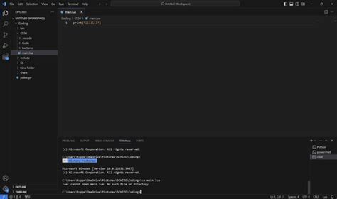 I Am New And Need Help Setting Up Lua With Vscode R Lua