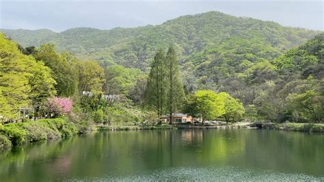 휴식을 통해 삶의 조화로운 균형을 회복하시길 Youtube
