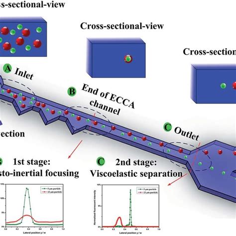 Schematic Of The Device For Sheathless Particle Viscoelastic Focusing Download Scientific