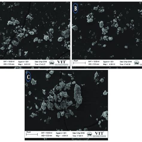 Antibacterial Activity Of Zno Nanoparticles Determined Via Their Zone Download Scientific