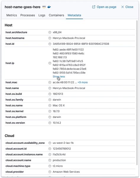 Metrics Ui Enhanced Host Details Metadata · Issue 80306 · Elastic