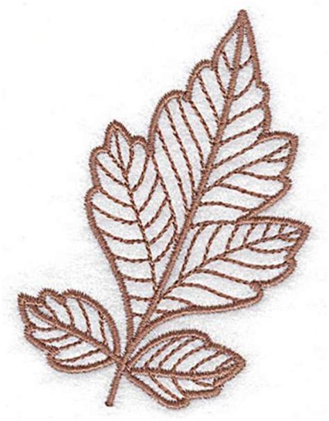 Gambel Oak Leaf Machine Embroidery Design Embroidery Library At
